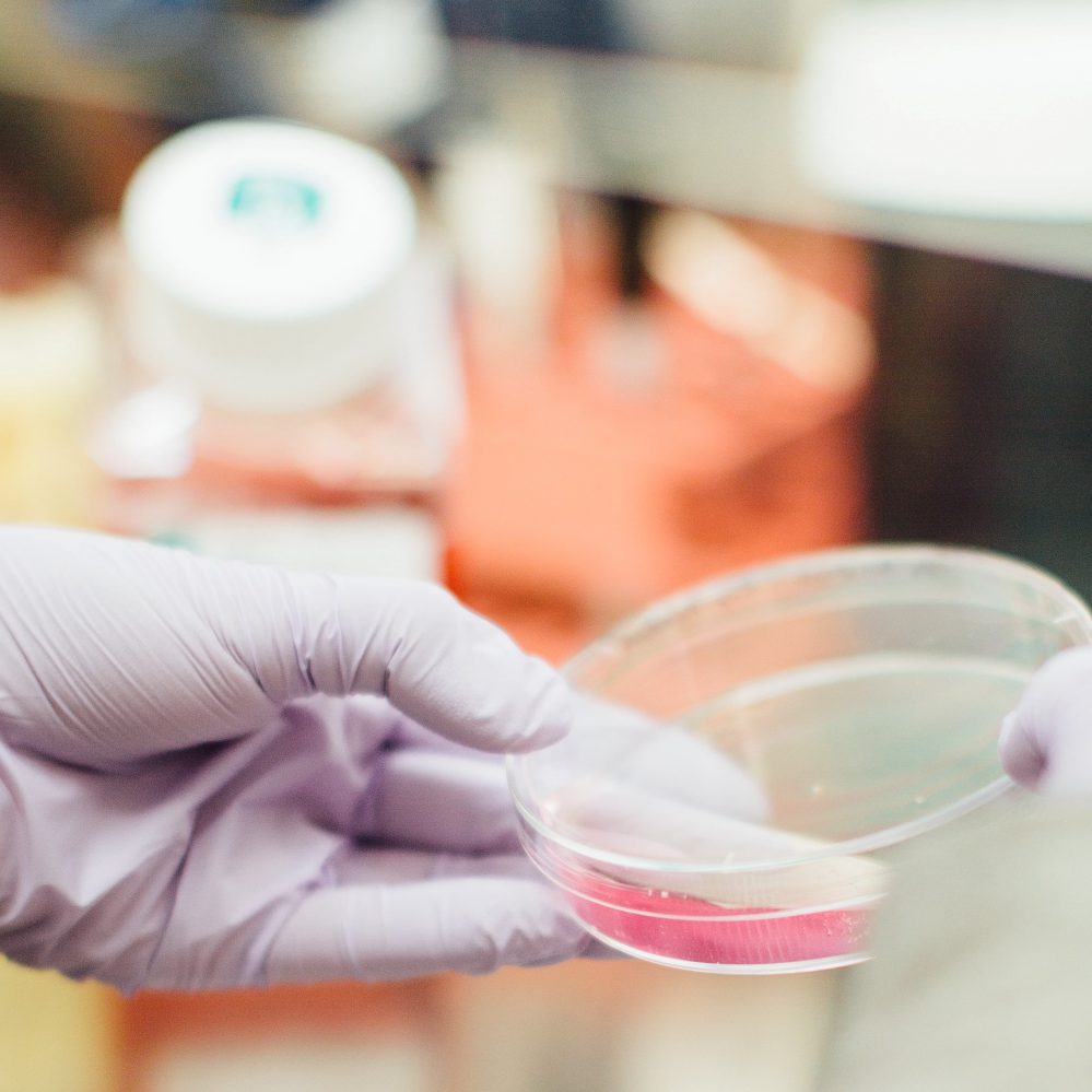 GMP for ATMP (Advanced Therapy Medicinal Products) - gmPlan GmbHgmPlan GmbH